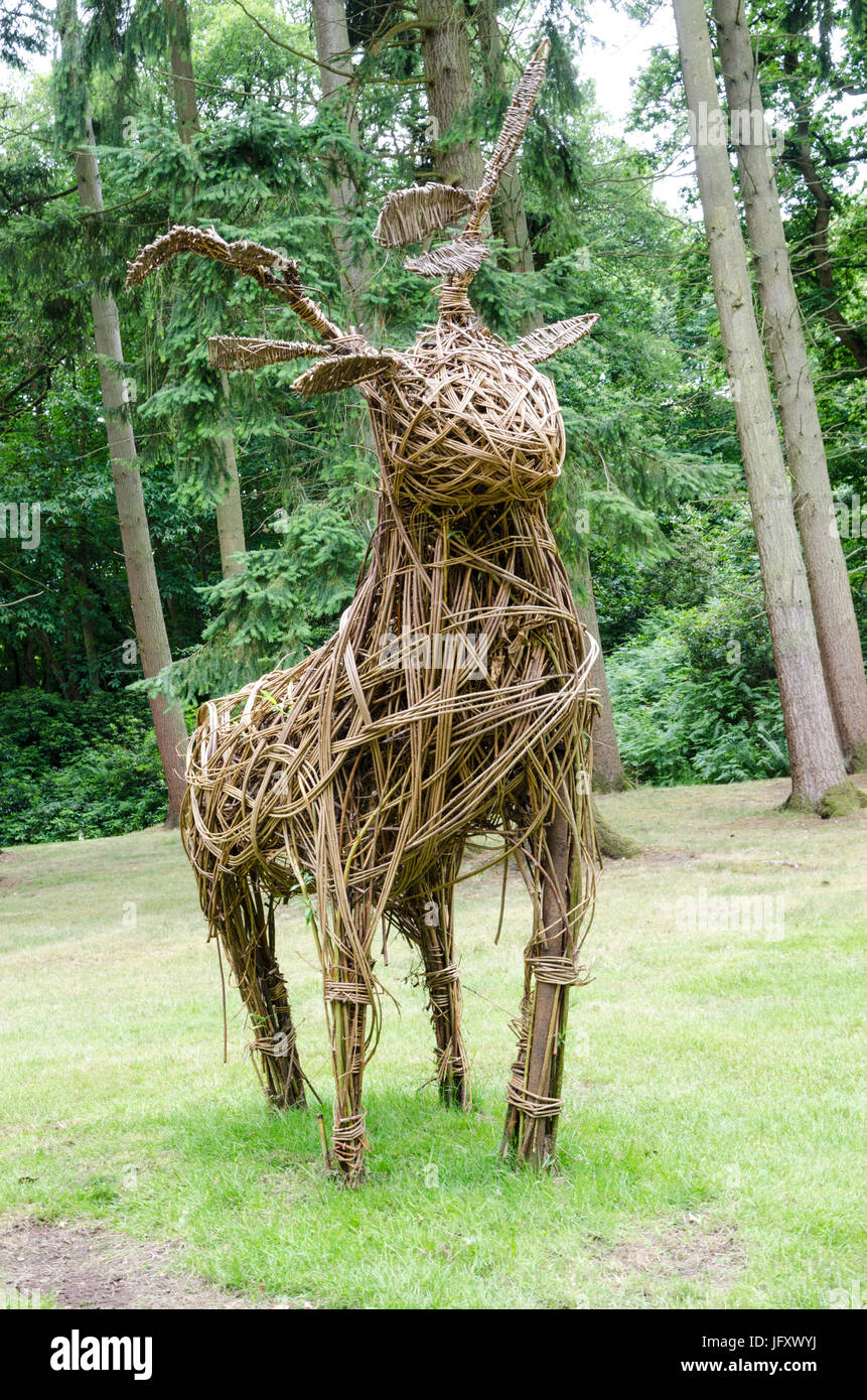 Large stag hi-res stock photography and images - Alamy