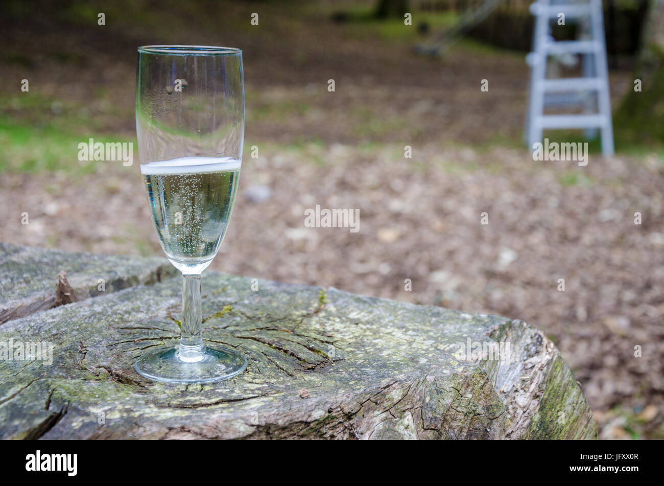 A glass of prosecco on a tree stump Stock Photo - Alamy