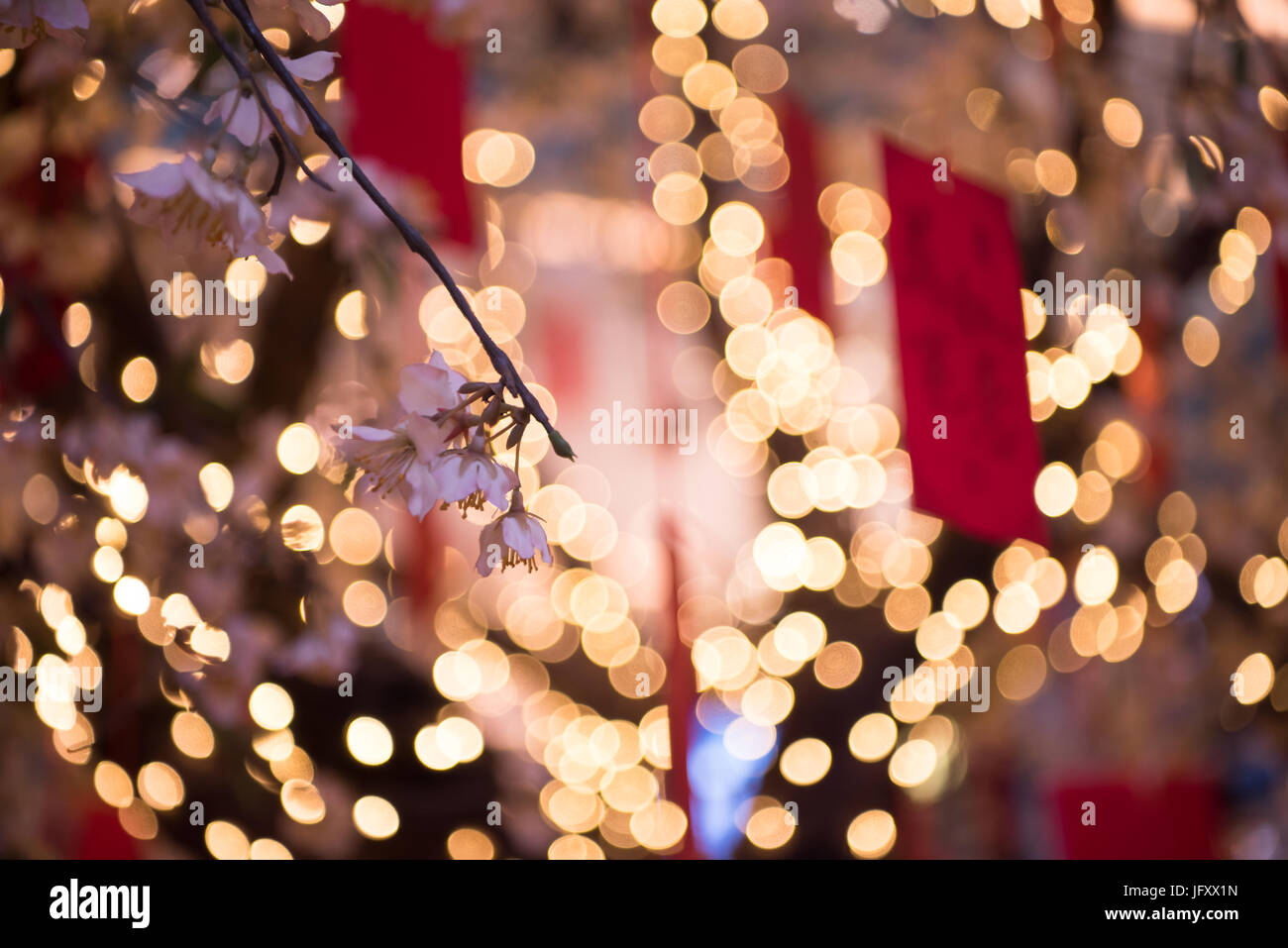red cards with messages on the traditional Japanese wishing tree Stock ...