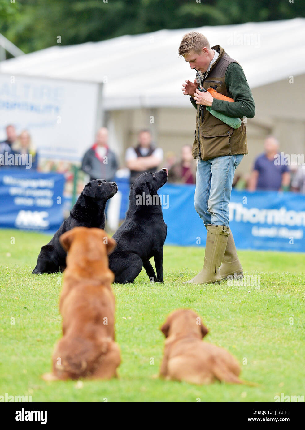 © Sandy young Photography 07970 268944 29th Scottish Game Fair E ...