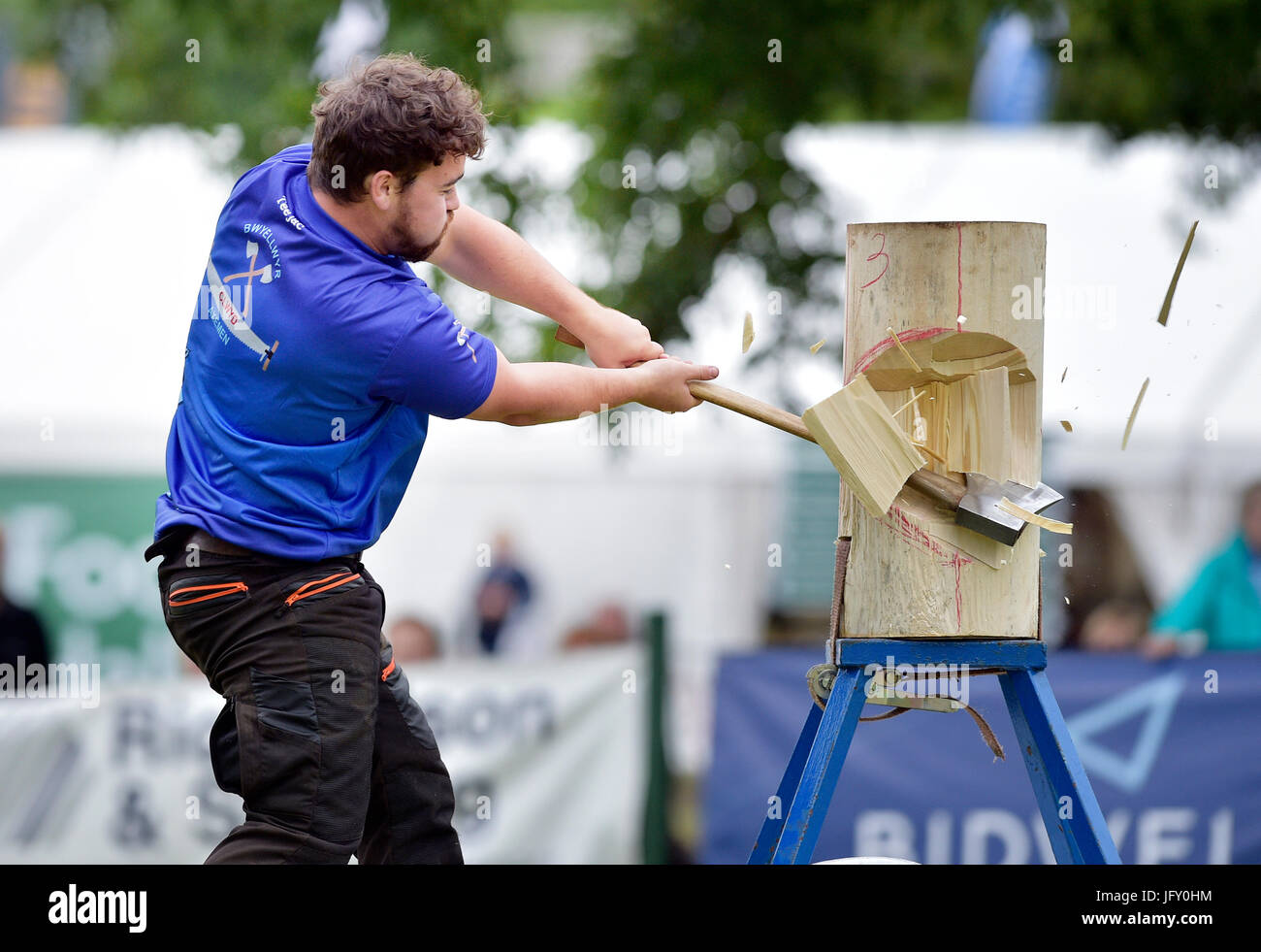 © Sandy young Photography 07970 268944 29th Scottish Game Fair E ...