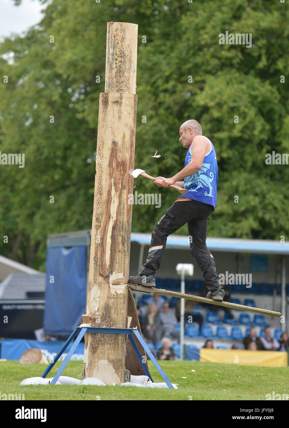© Sandy young Photography 07970 268944 29th Scottish Game Fair E ...