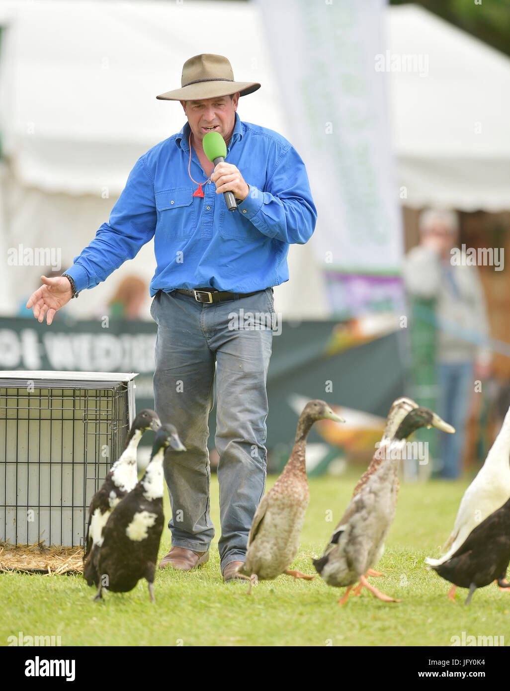 © Sandy young Photography 07970 268944 29th Scottish Game Fair E ...