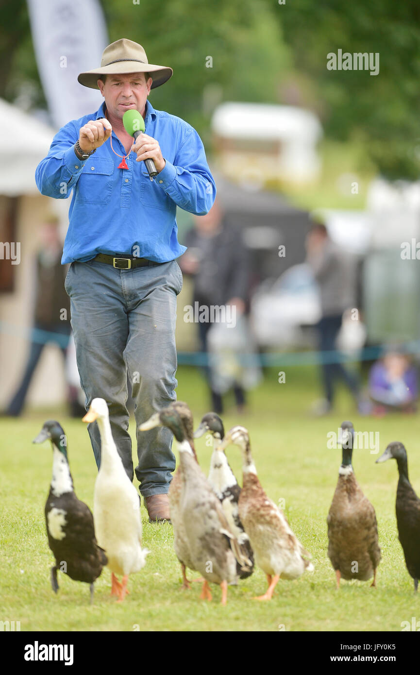 © Sandy young Photography 07970 268944 29th Scottish Game Fair E ...