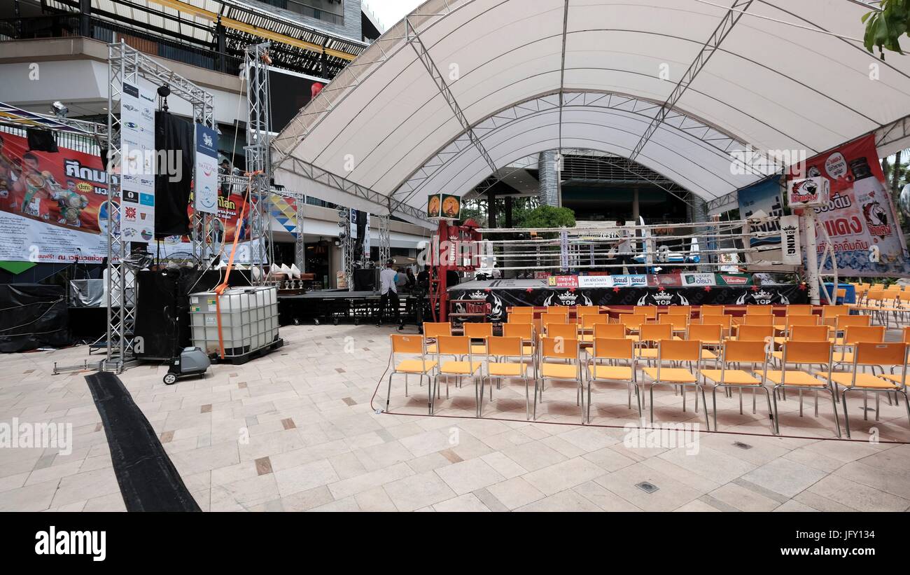 Martial Arts Muay Thai Thai Kick Boxing Ring Pattaya Thailand Stock ...