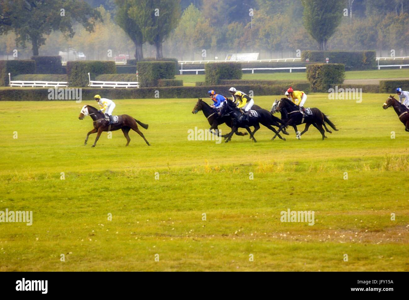 Steeplechase racecourse hi-res stock photography and images - Alamy