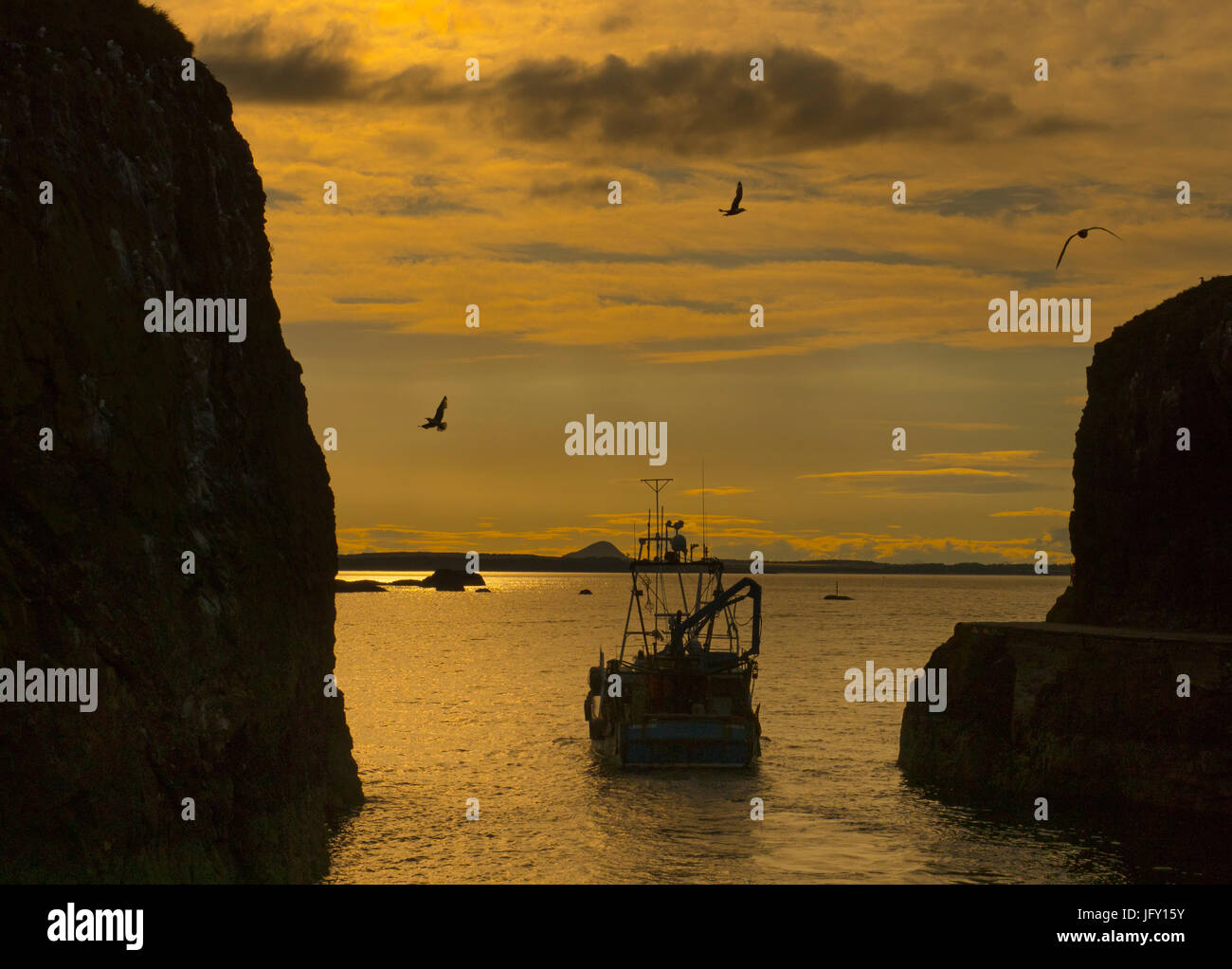 Dunbar harbour boat hi-res stock photography and images - Alamy