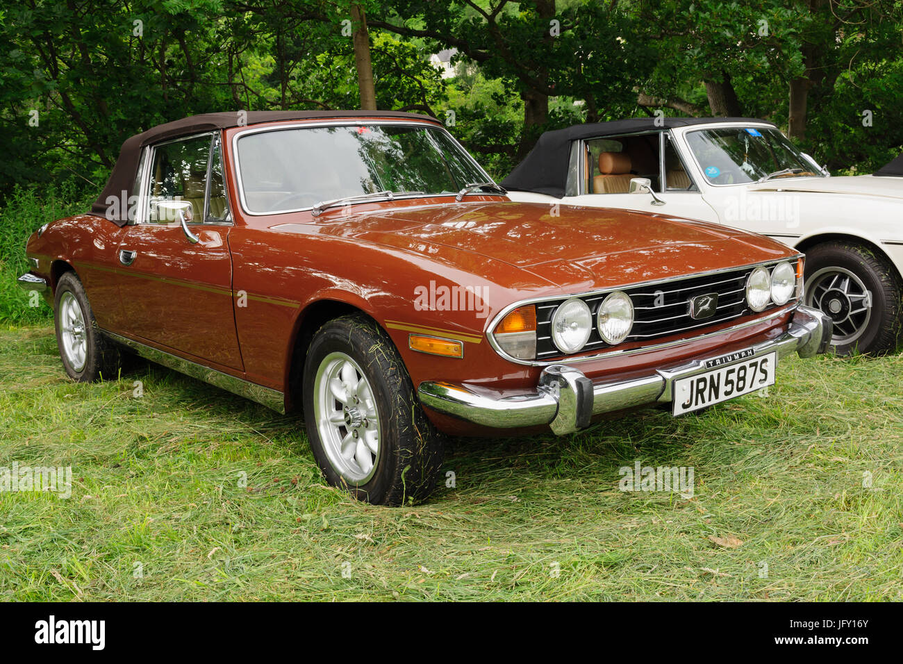 Triumph stag hi-res stock photography and images - Alamy