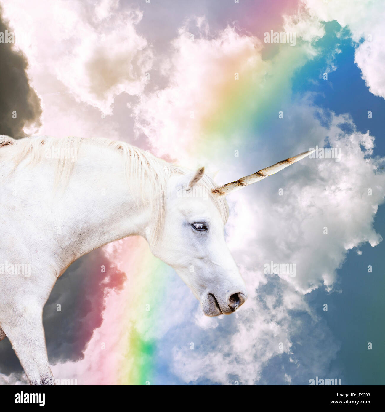 Real unicorn hi-res stock photography and images - Alamy