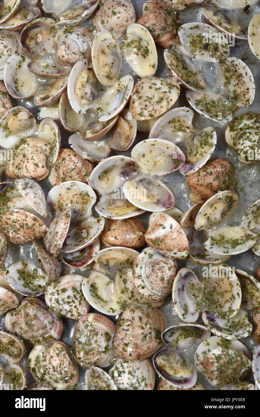 Carpet shell clams hi-res stock photography and images - Alamy
