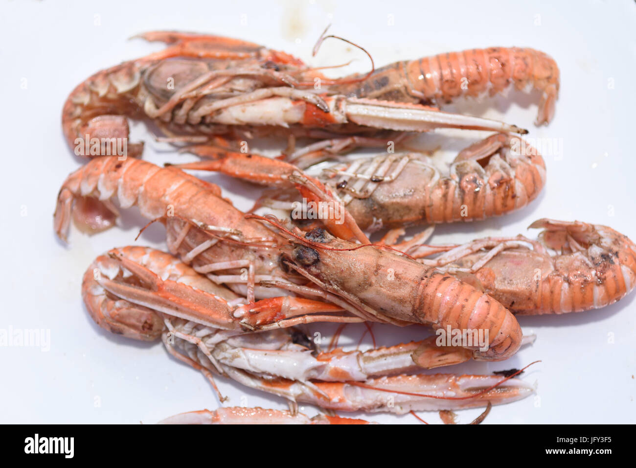 Giant crayfish hi-res stock photography and images - Alamy