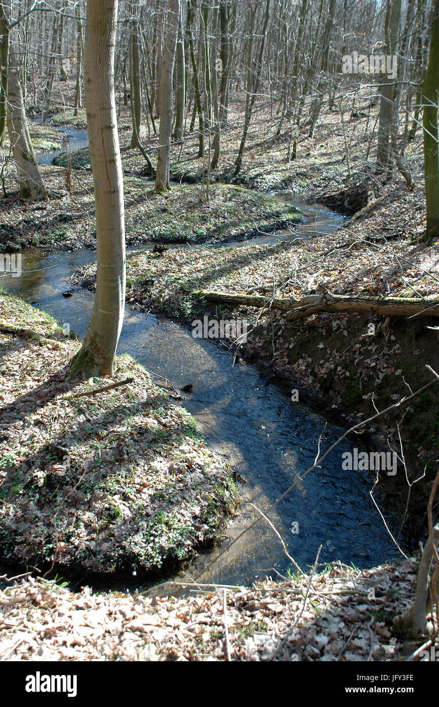 Landscape of forest with winding streamlet Stock Photo - Alamy