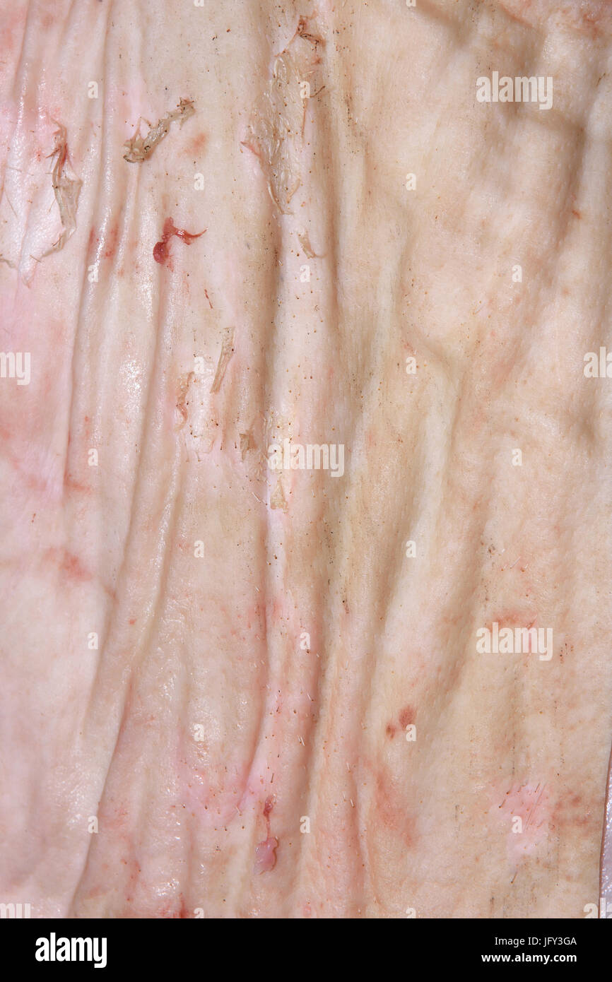 Pork meat industry, texture bacon Stock Photo - Alamy