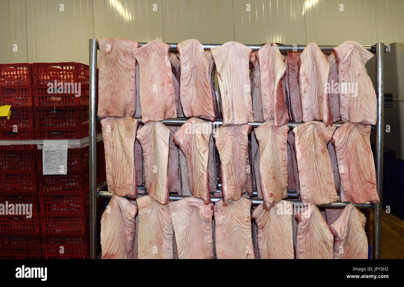 Pork meat industry (parts are Bacon Stock Photo - Alamy