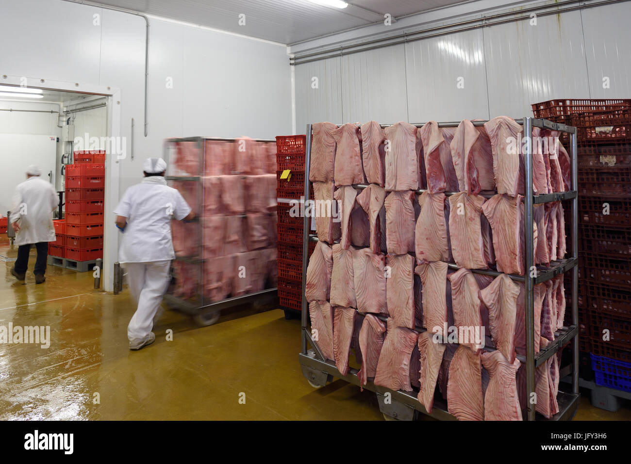 Processing pork hi-res stock photography and images - Alamy