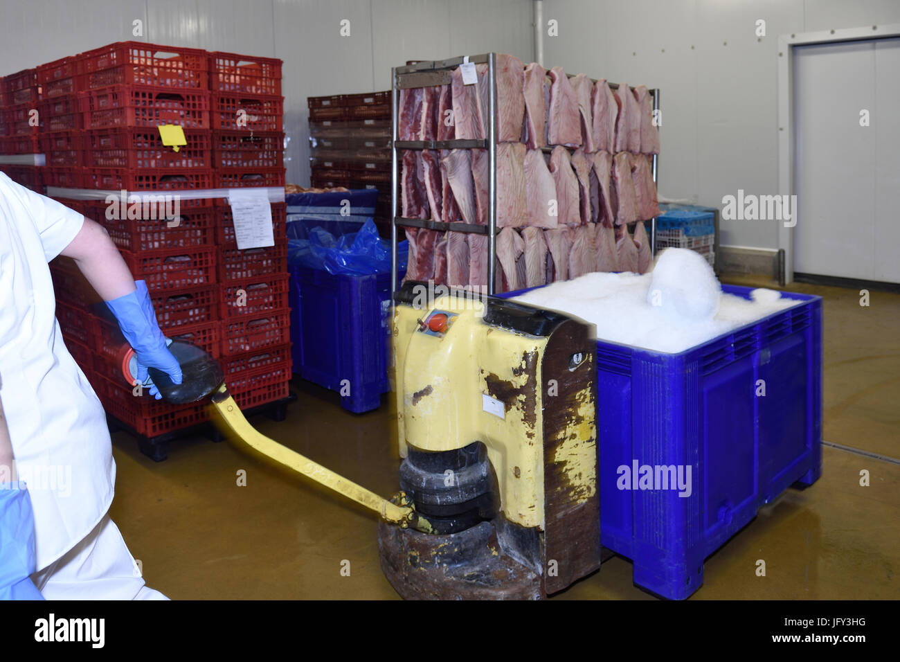 Meat Industry processing pork Stock Photo - Alamy