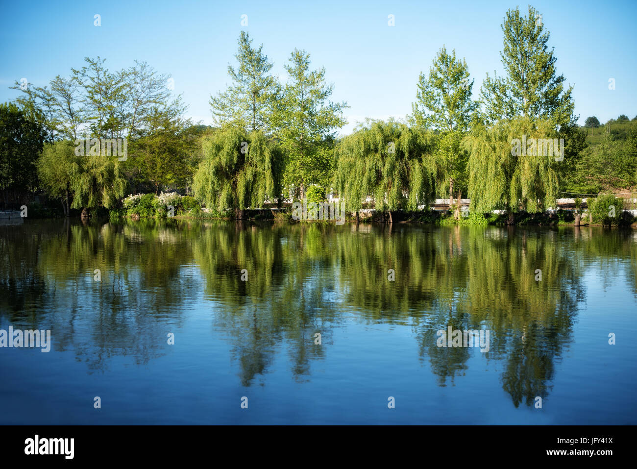 Beautiful lake and a green garden with flowers and trees around ...