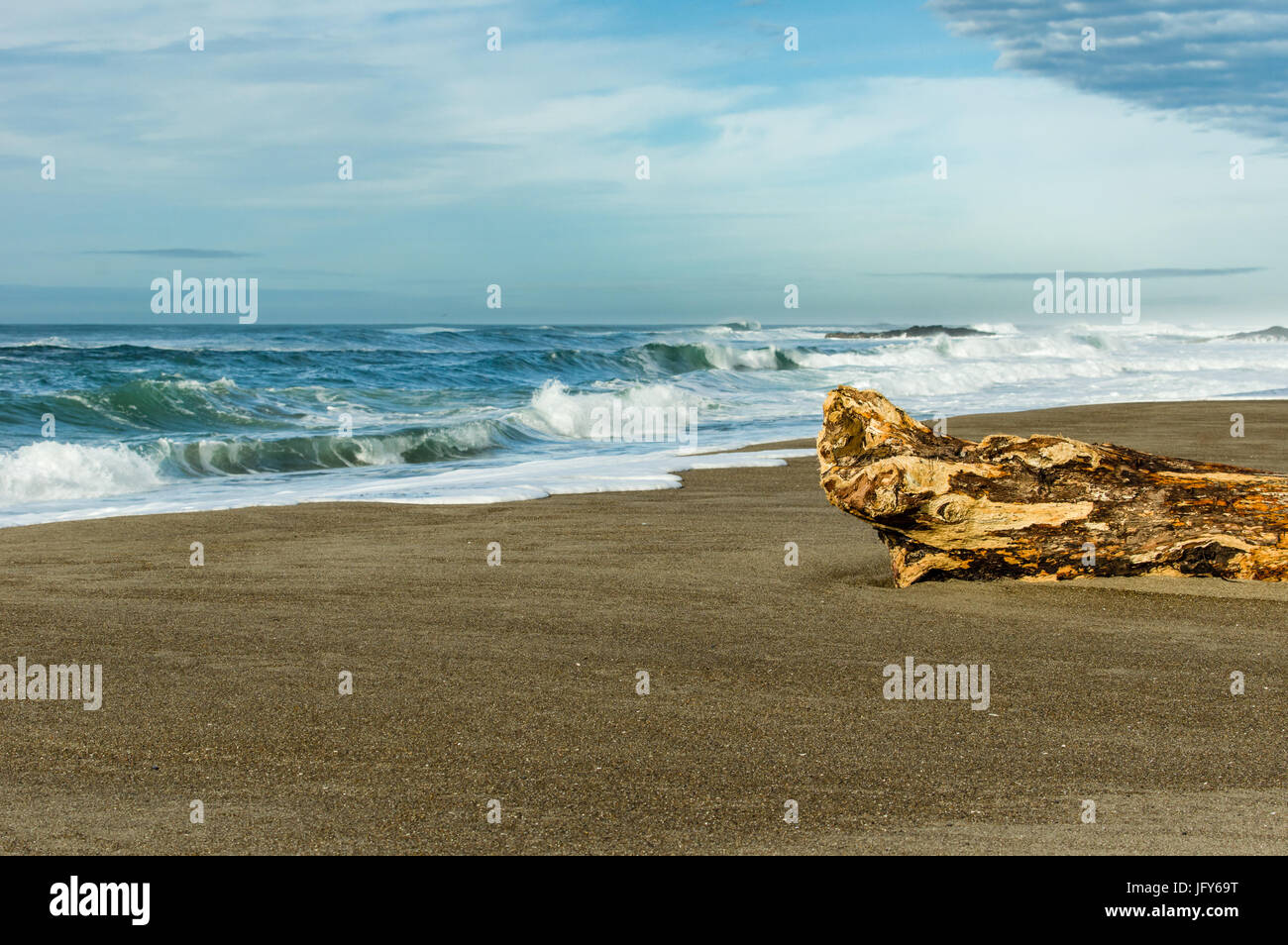 Sandy beach with driftwood log on the Pacific Ocean Stock Photo - Alamy