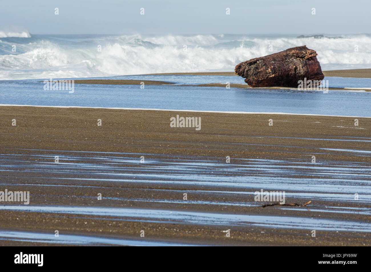 Sandy beach with driftwood log on the Pacific Ocean Stock Photo - Alamy