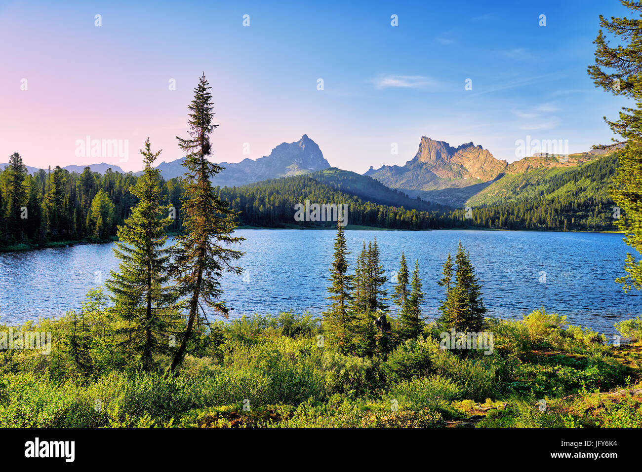 Small fir trees against background of Lake Svetloye. Mountain range of ...