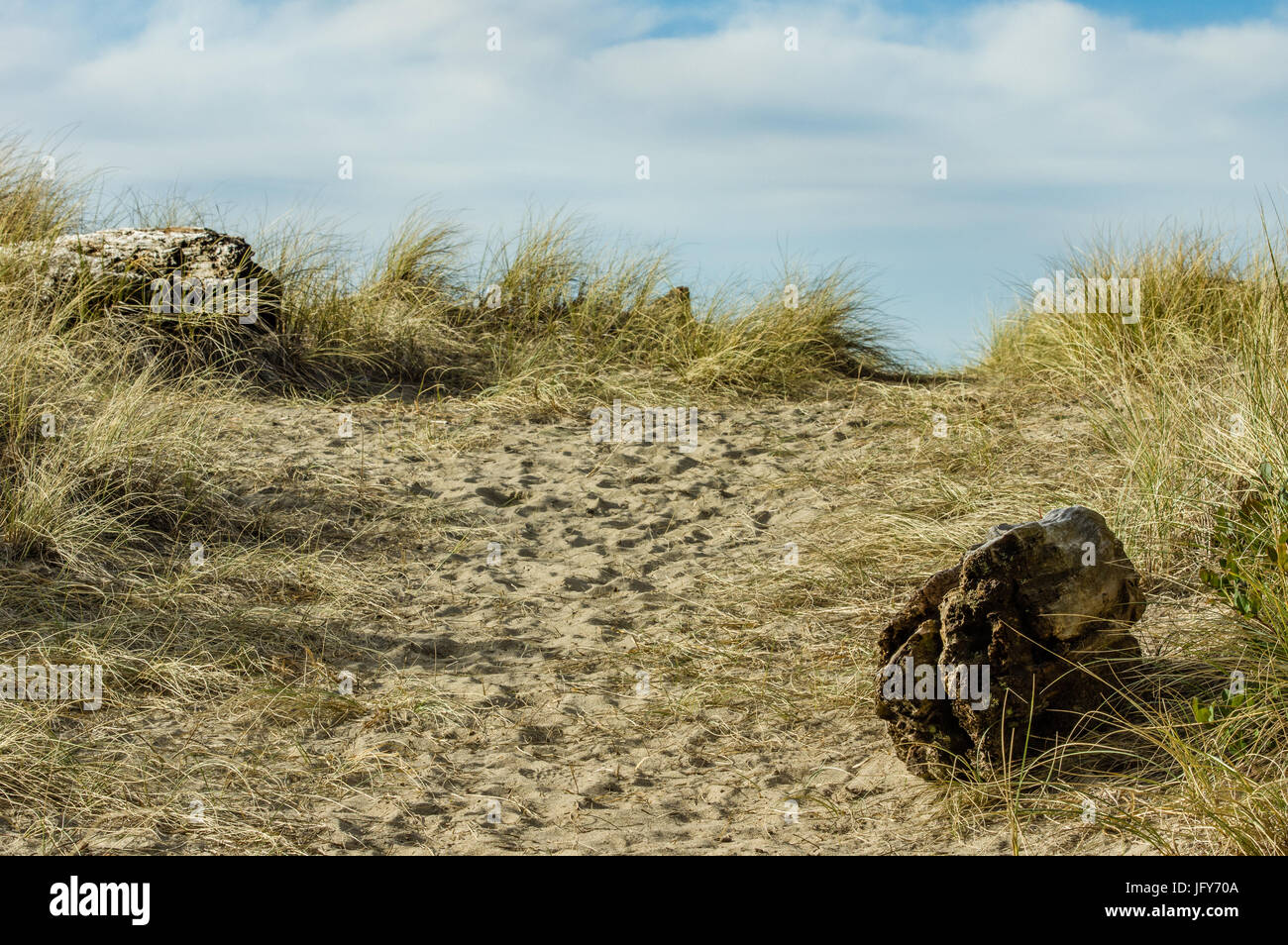 Worn path in the sand over the dune through the beach grass to the ...
