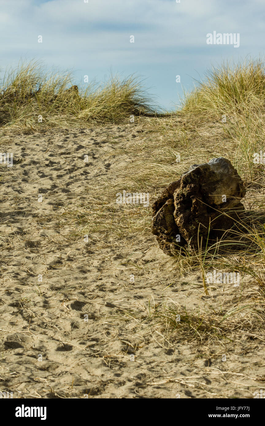 Worn path in the sand over the dune through the beach grass to the ...