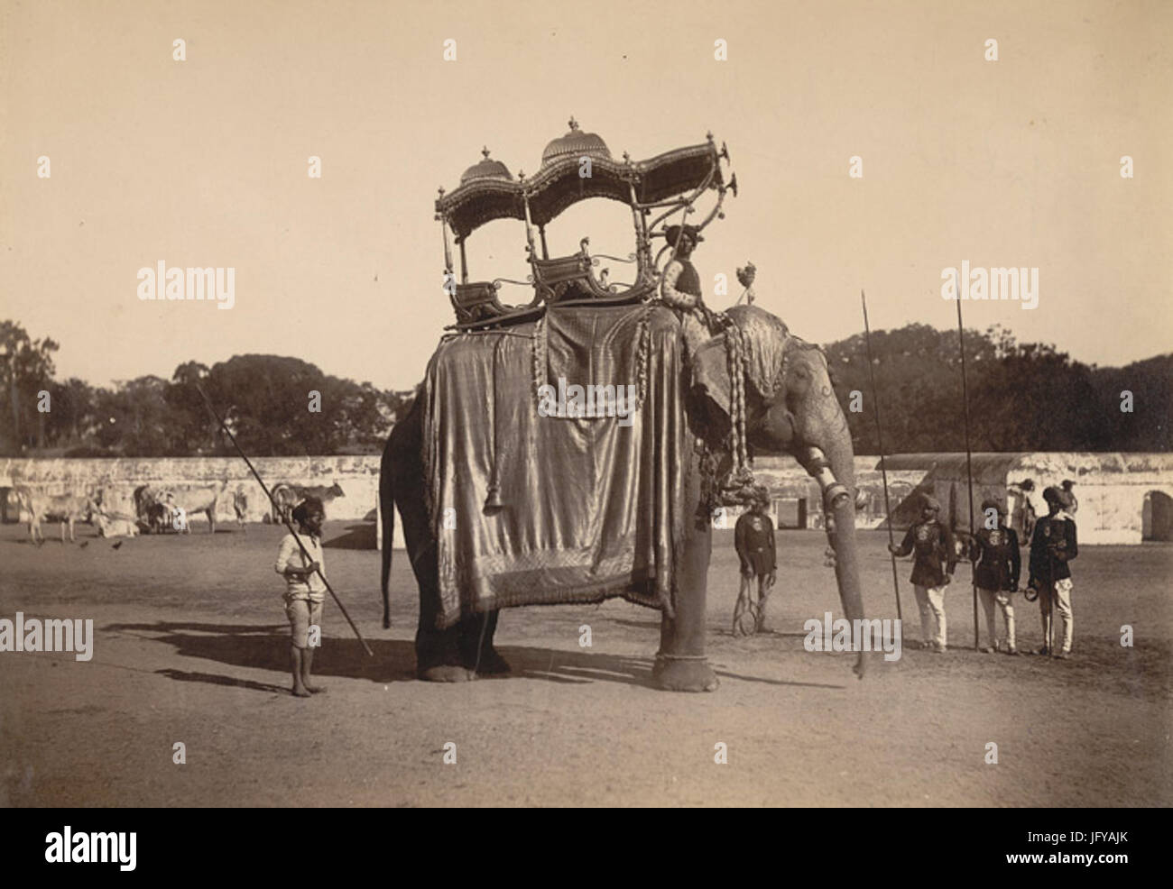 Elephant with golden howdah in Baroda 28c. 189029 Stock Photo - Alamy