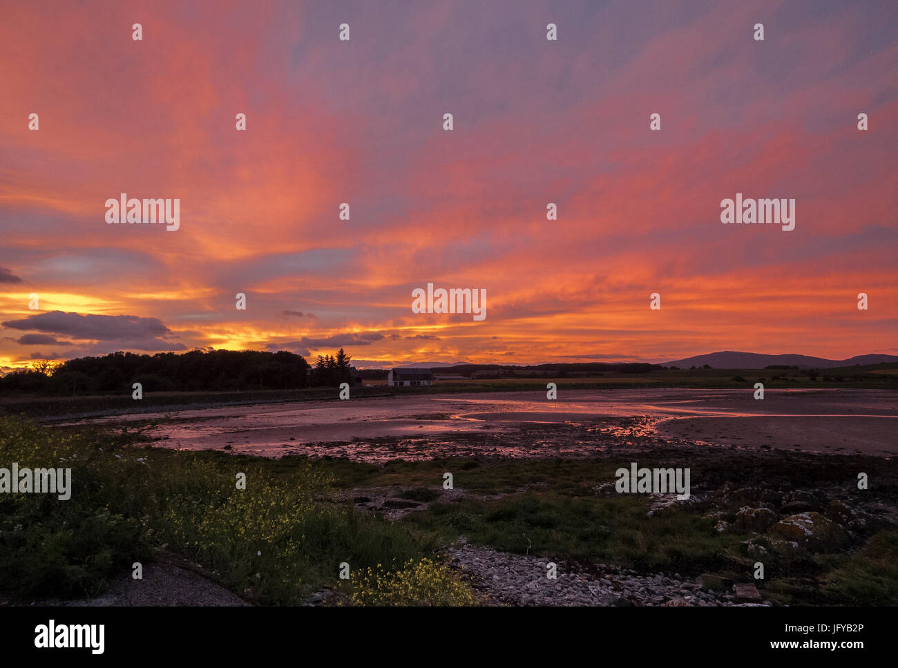 landscape view of Garlieston Bay with yellow flowers in the foreground ...