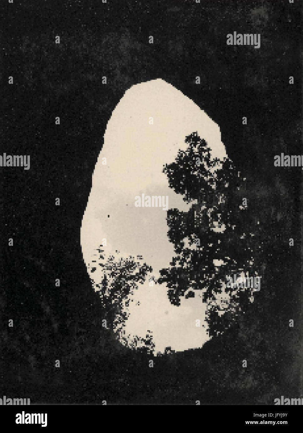 Farkas-kơ591 ơave5 Kovơ3A1csJ Stock Photo - Alamy