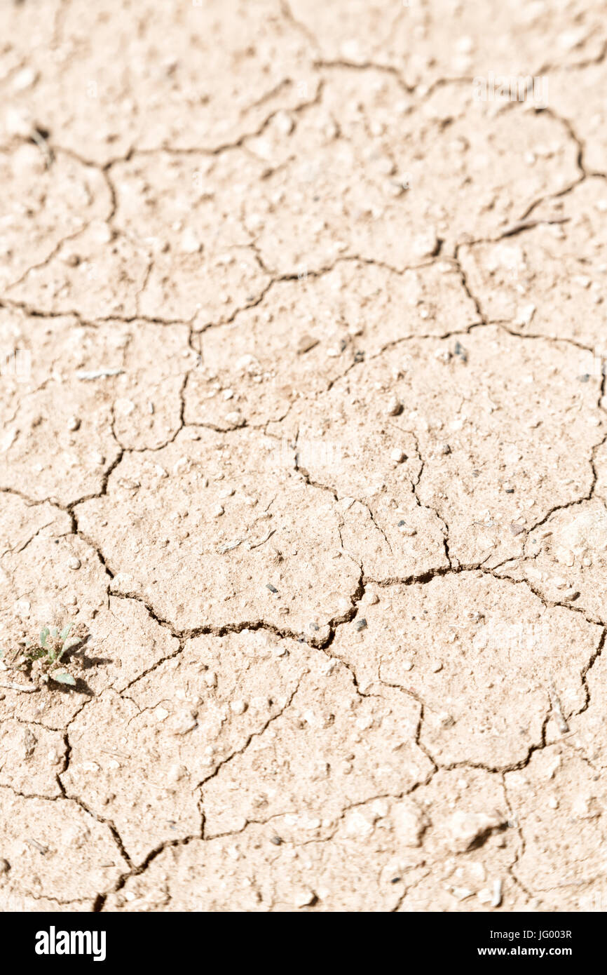in the desert the dry ground like background texture Stock Photo - Alamy
