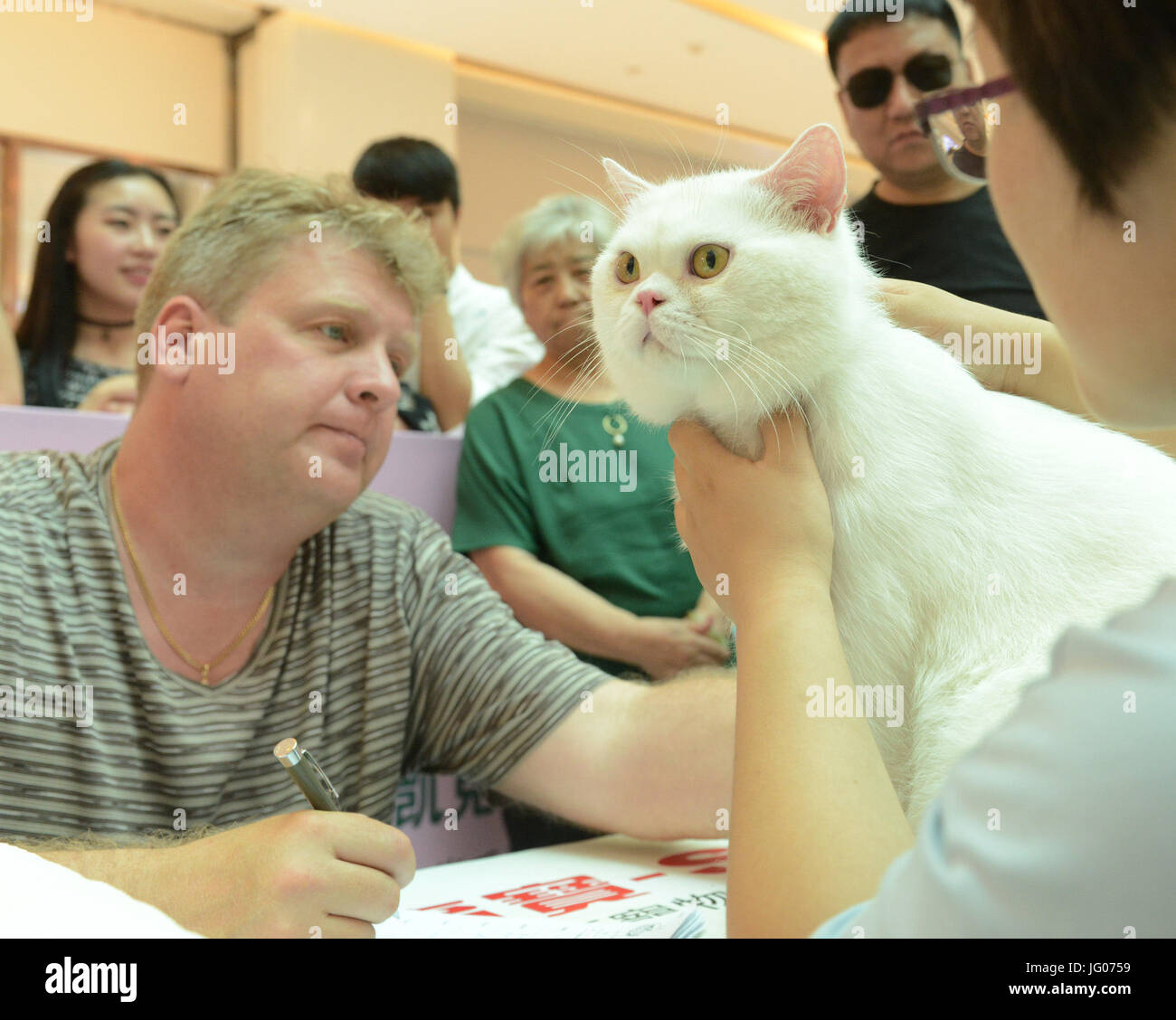 Wcf cat hi-res stock photography and images - Alamy