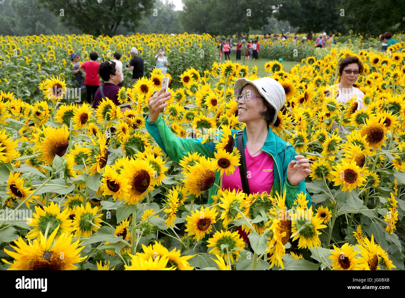 Beijing, China. 3rd July, 2017. Tourists visit the Olympic Forest Park ...