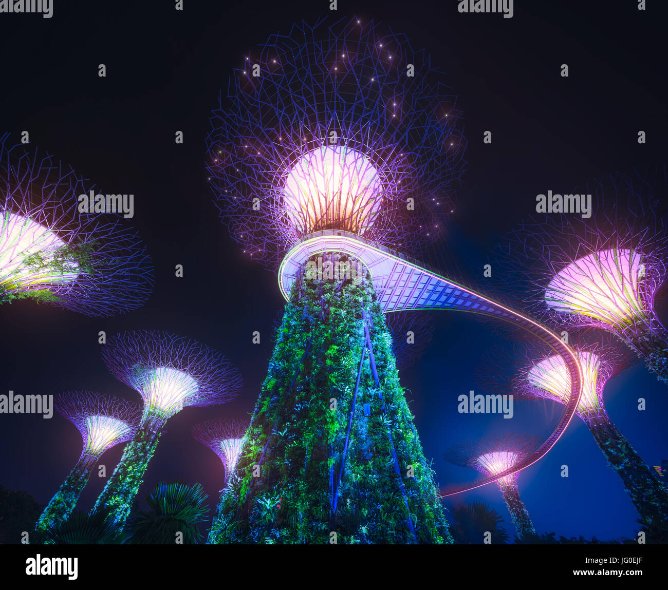 The Supertree in Singapore Stock Photo - Alamy