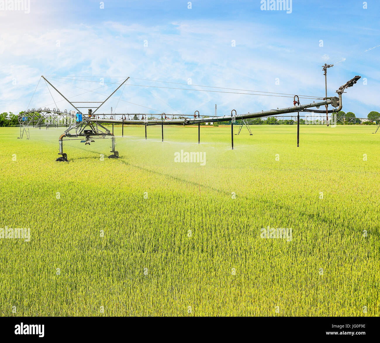 Irrigation system on wheels on wheat field. Agricultural technologies ...