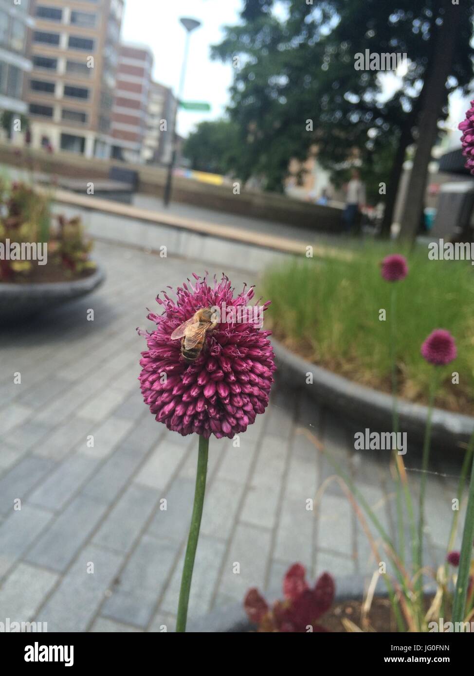Rotterdam garden hi-res stock photography and images - Alamy