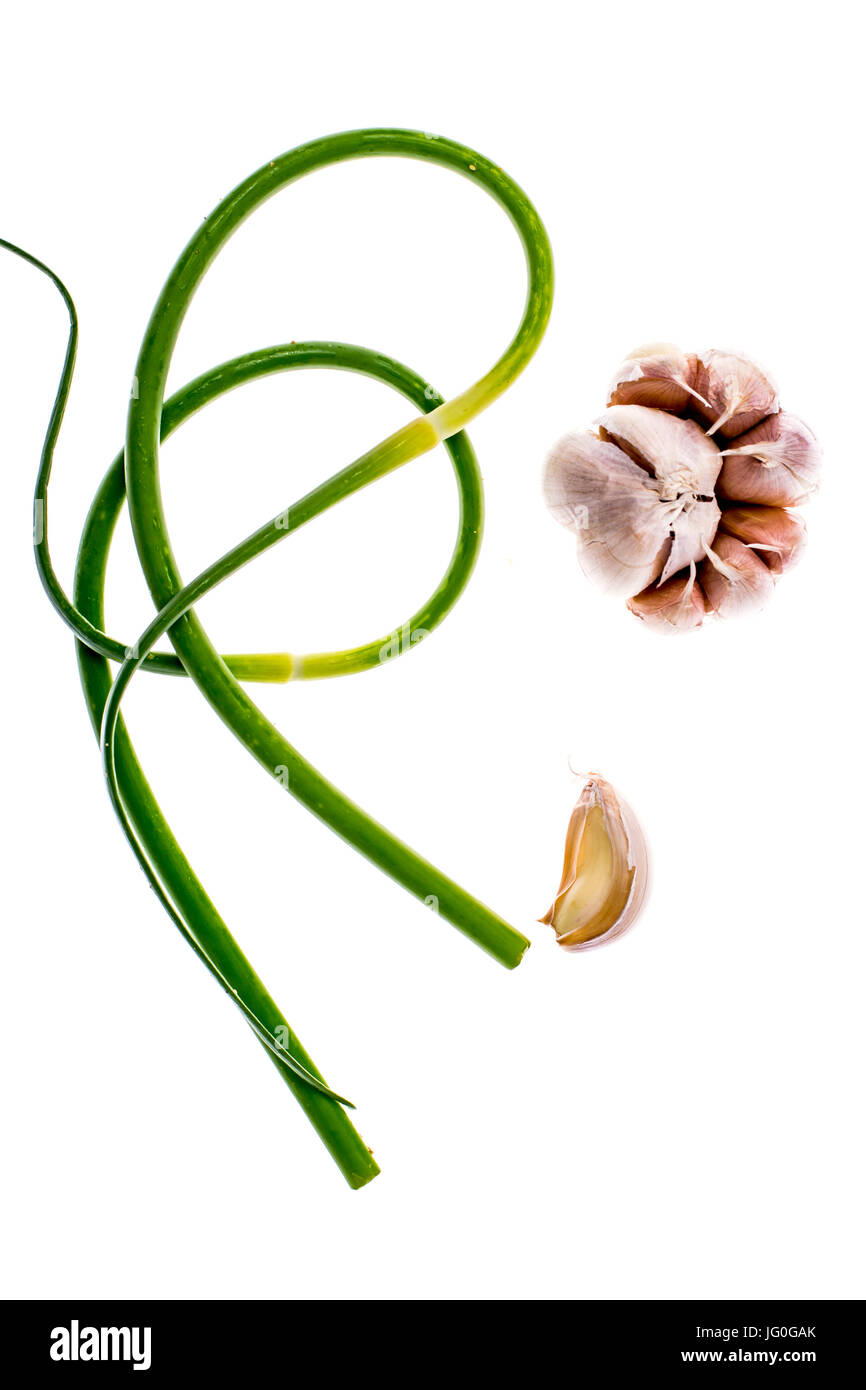 Young green garlic hands isolated on white background. Studio Photo ...