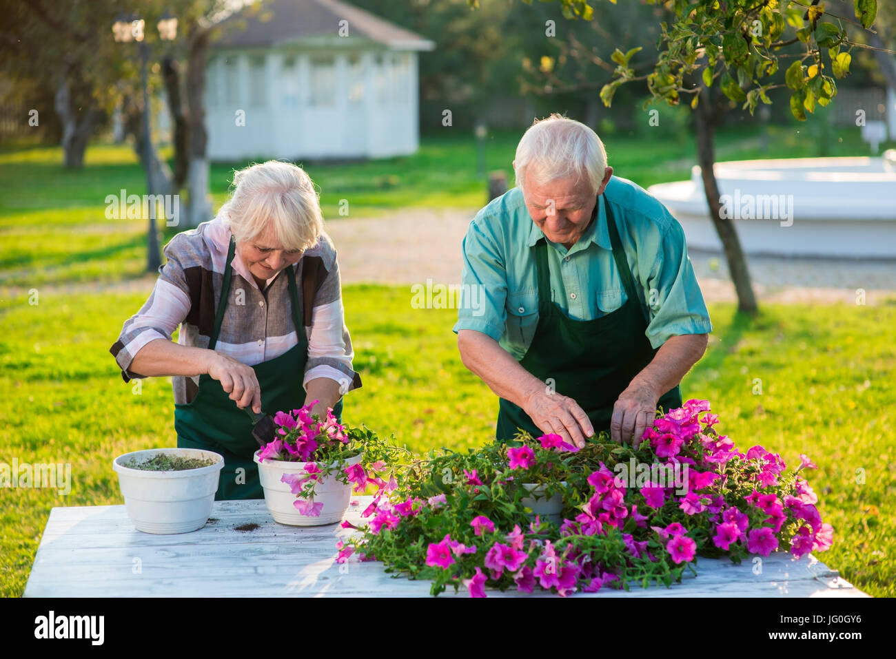 Gardeners transplanting flowers Stock Photo - Alamy