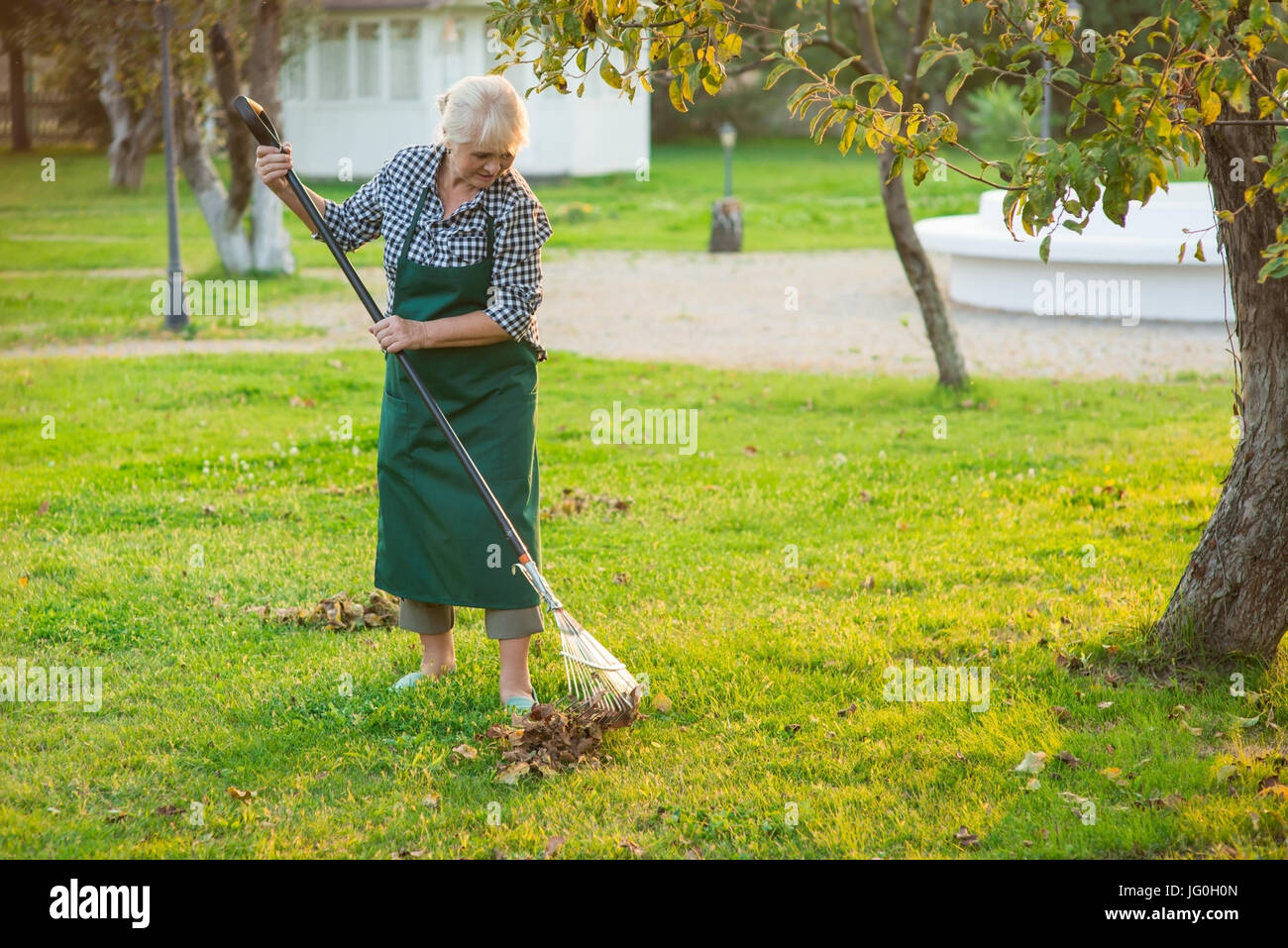 Senior lady working with rake Stock Photo - Alamy