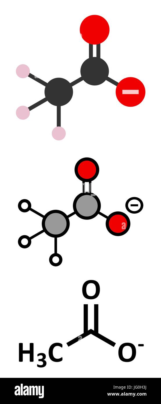 Acetate anion, chemical structure. Conventional skeletal formula and ...