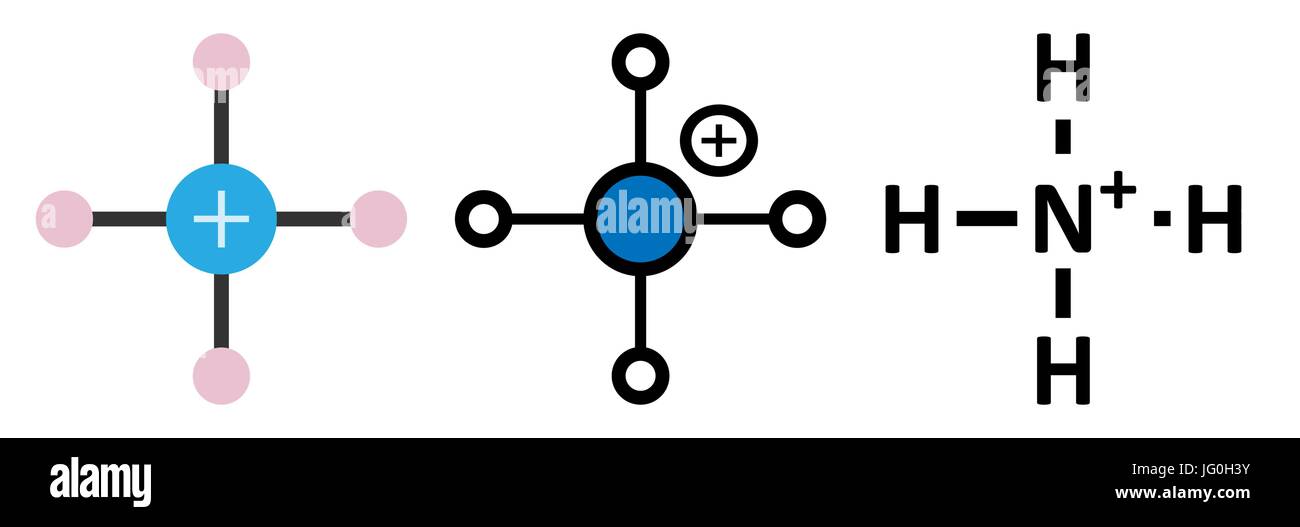 Nh4 Structure Diagram