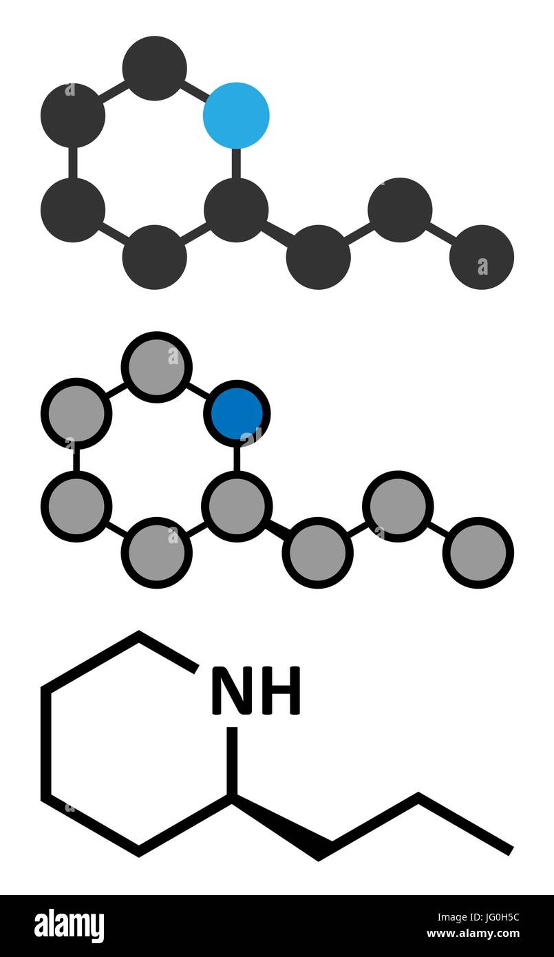 Coniine herbal toxin molecule. Present in poison hemlock (Conium ...