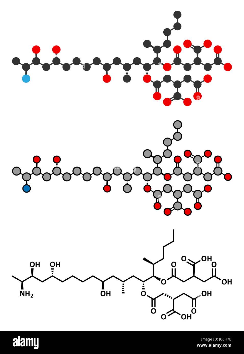 Fumonisin B1 mycotoxin molecule. Fungal toxin produced by some Fusarium ...
