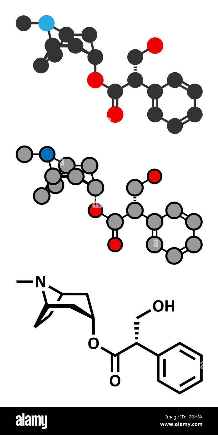 Hyoscyamine alkaloid molecule. Herbal sources include henbane, mandrake ...