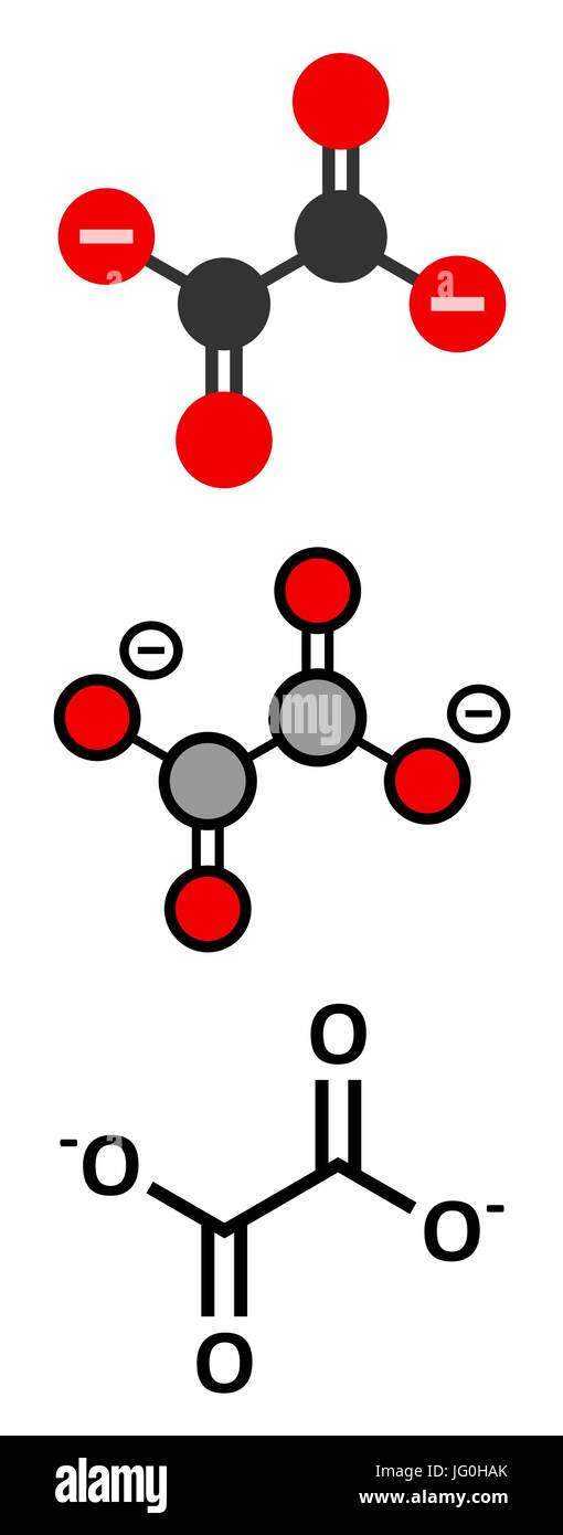 H2c2o4 Lewis Structure