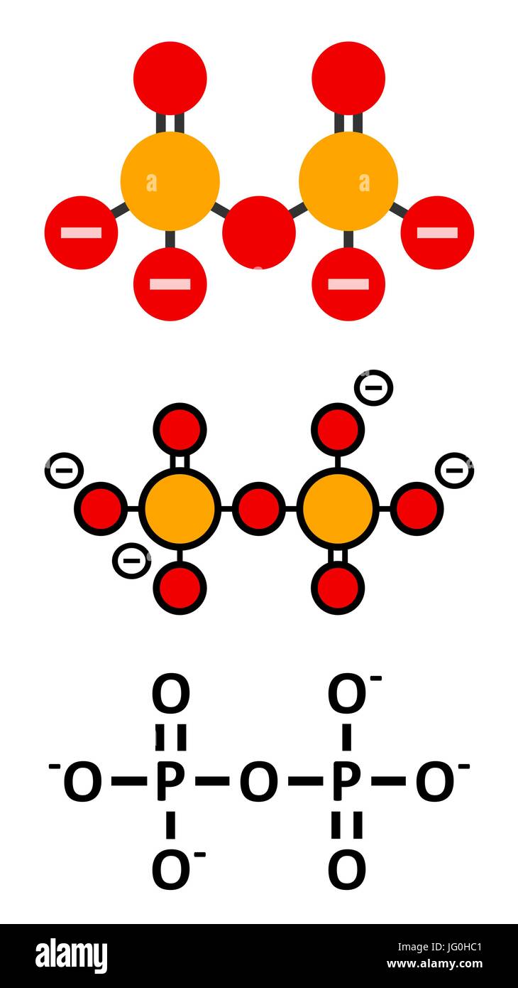 Pyrophosphate (PPi) anion. Important in biochemistry, used as food ...