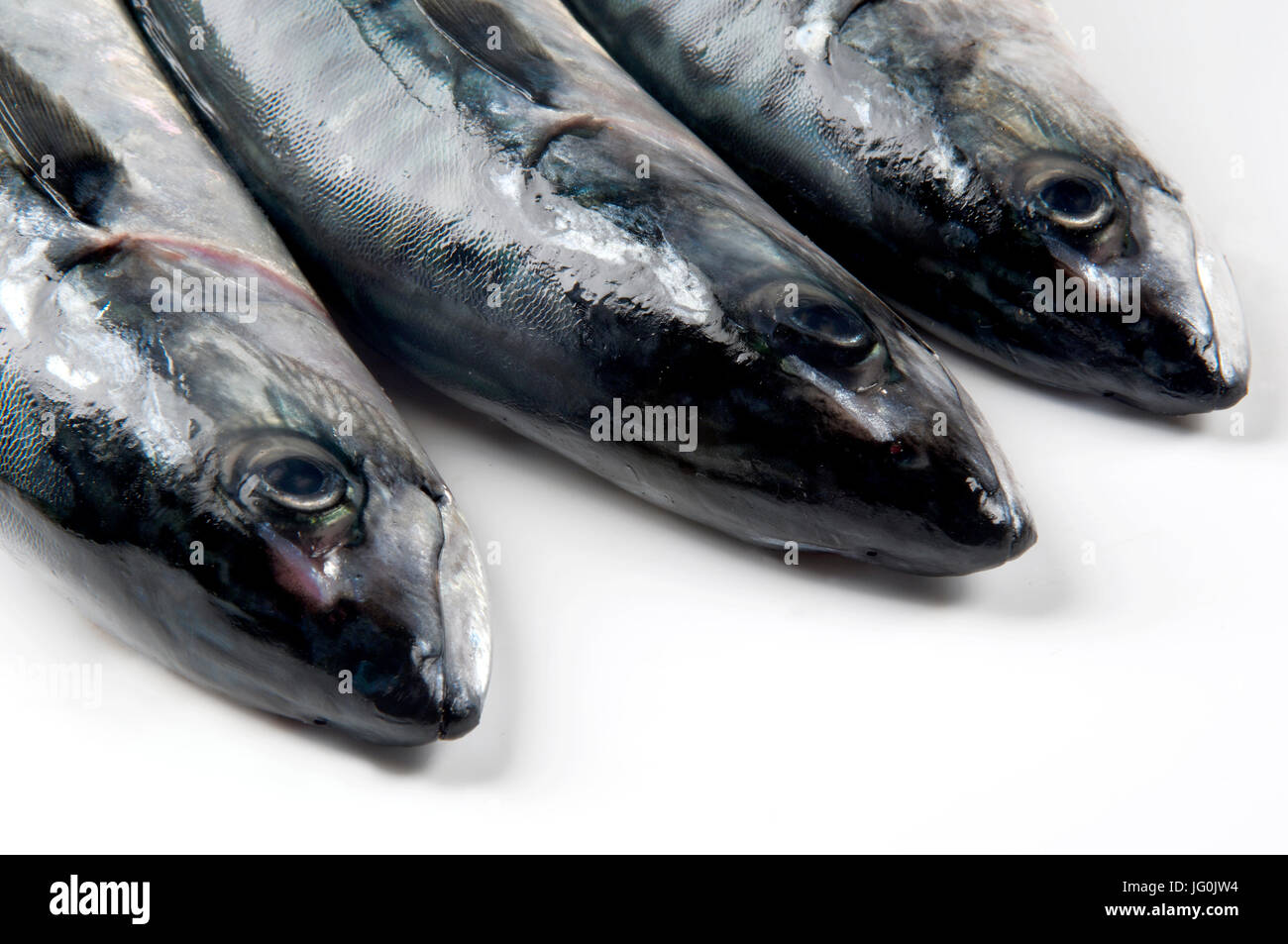 three heads mackerel fish Stock Photo - Alamy
