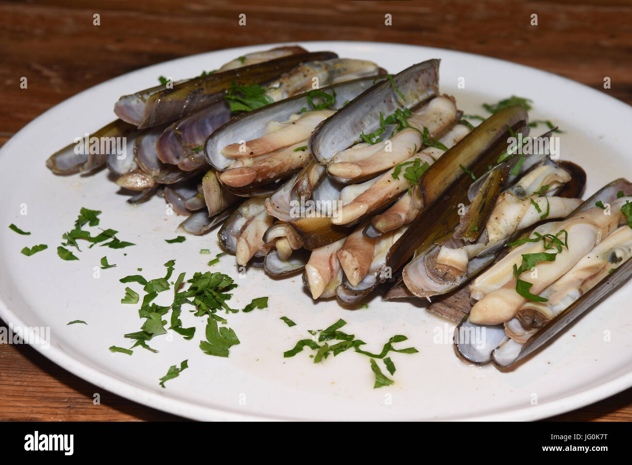 Razor shell hi-res stock photography and images - Alamy