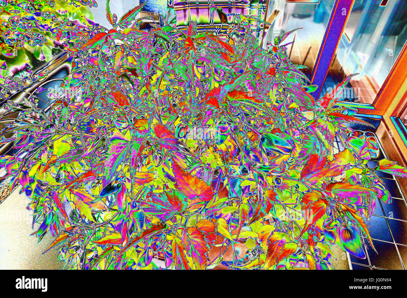 German Digital Art by Alfred Georg Sonsalla Stock Photo - Alamy