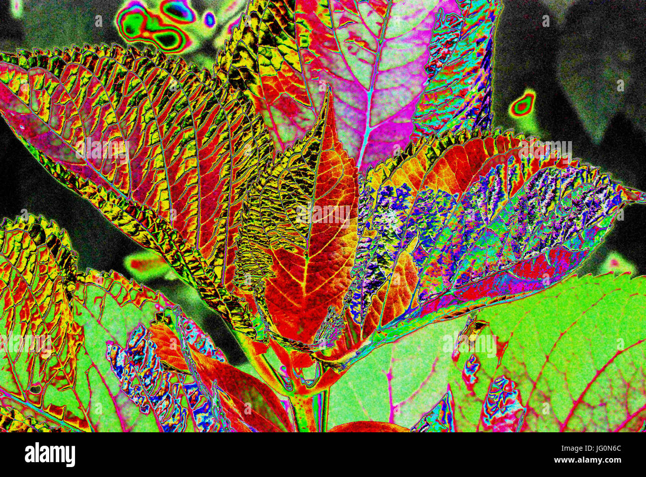 German Digital Art by Alfred Georg Sonsalla Stock Photo - Alamy