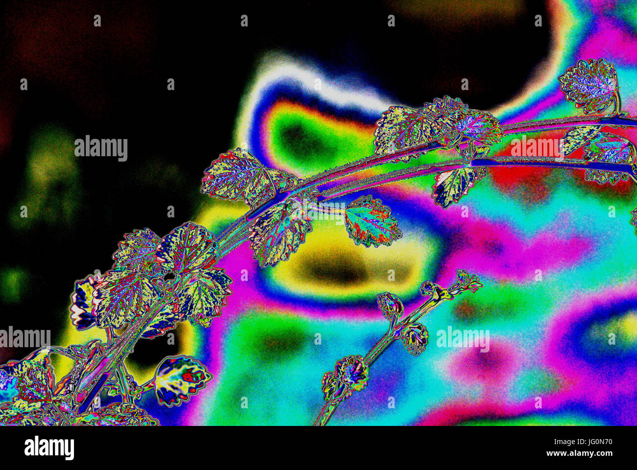 German Digital Art by Alfred Georg Sonsalla Stock Photo - Alamy